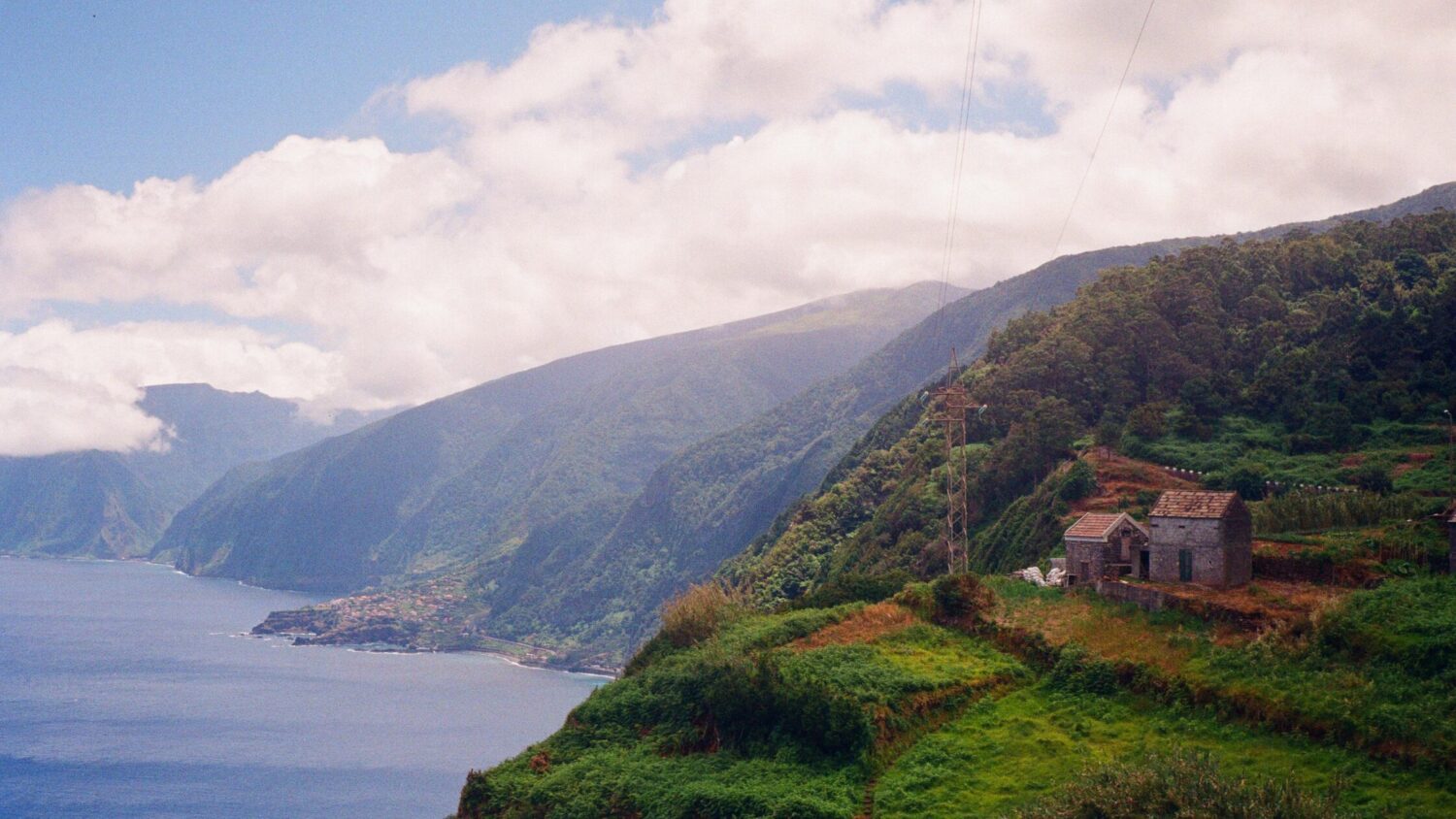 The Art of Nature: A Cinematic Exploration of Madeira’s Fanal Forest ...